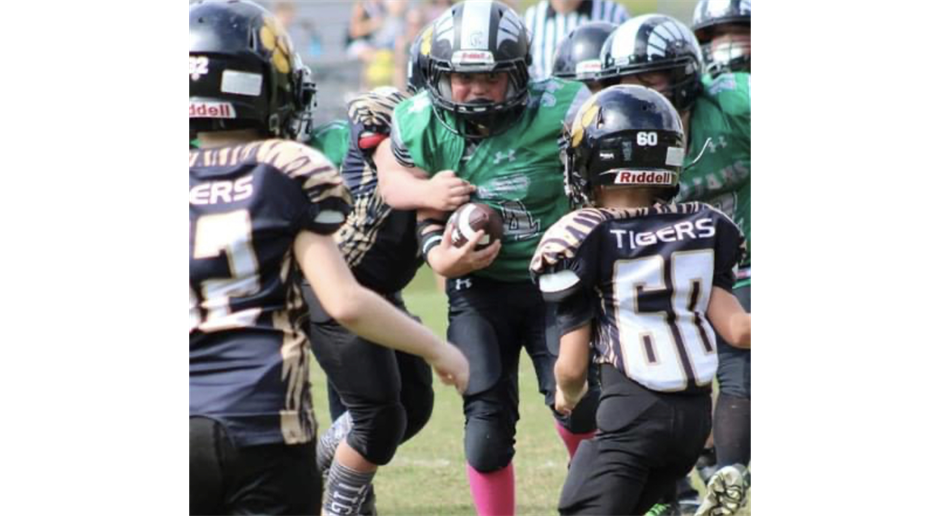 North Hall Junior Trojans > Home